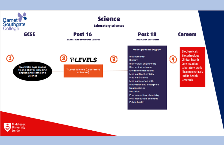 T Level Laboratory Sciences |Barnet and Southgate College